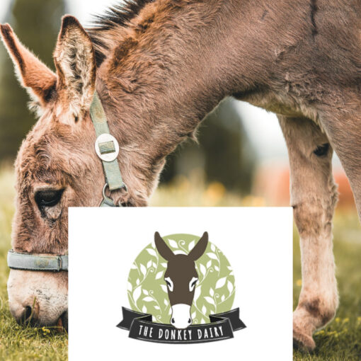 Fun things to-do around Black Horse - Black Horse Estate